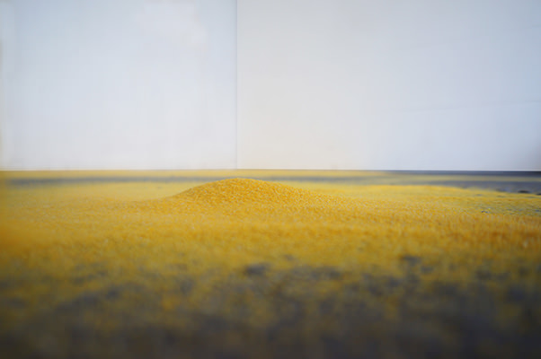 David Horvitz | Random Institute